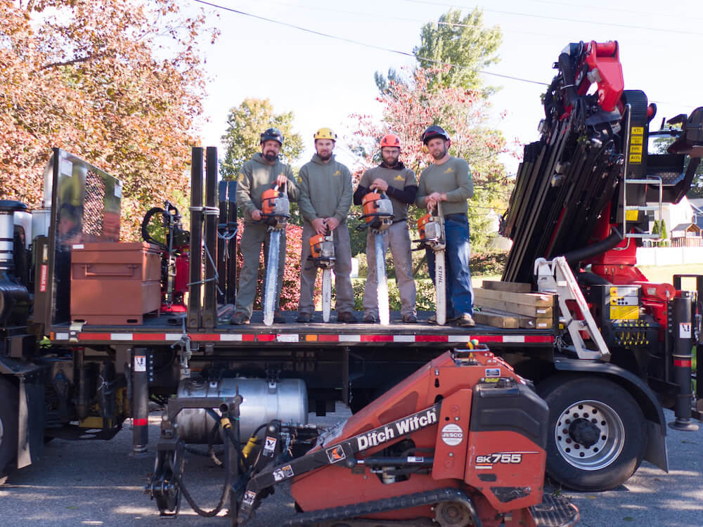 Tree Service near Wayne NJ | Arbor Ace Tree Service
